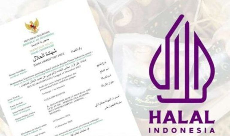 Wajib Tahu! Cara Cek & Urus Sertifikat Halal, Nomor 3 Bikin Banyak ...